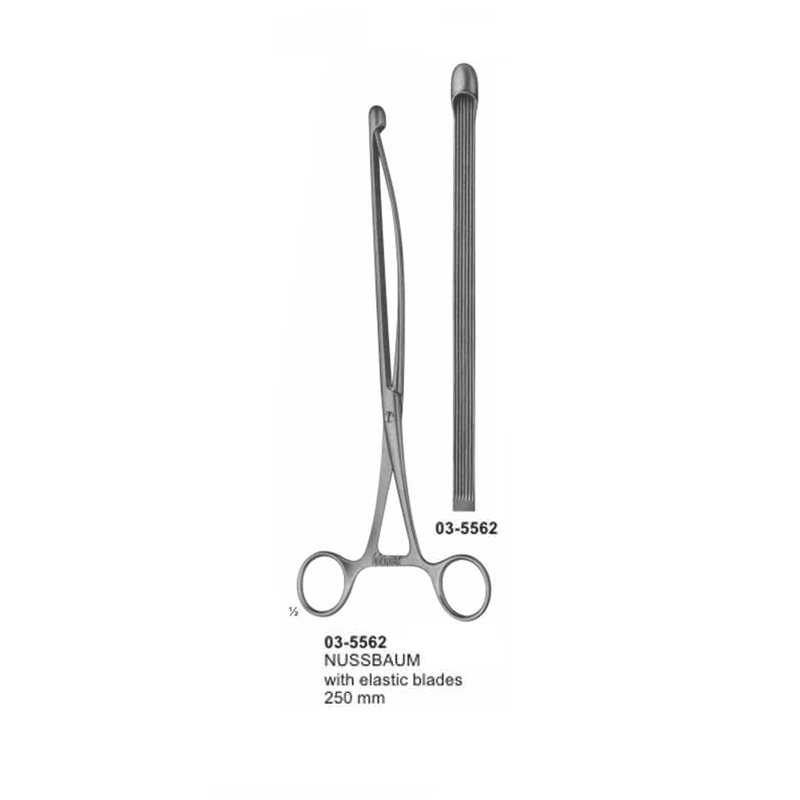 Nussbaum Straight Intestinal Clamps 250 mm – grupoconstantinopla.com Nussbaum Straight Intestinal Clamps 250 mm – grupoconstantinopla.com